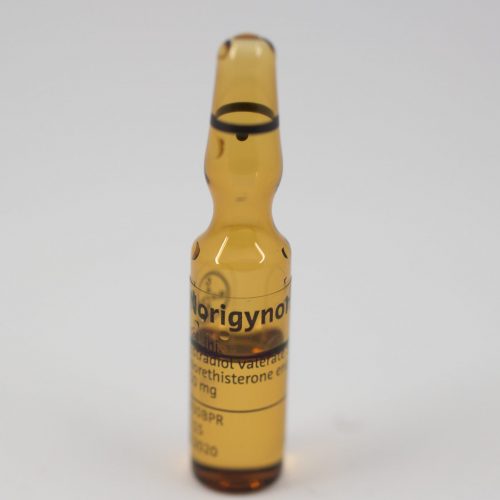 Hangua – Famia Planea Aruba